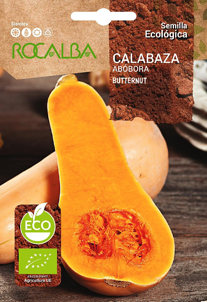 CALABAZA BUTTERNUT ECO – CultivoMiHuerto