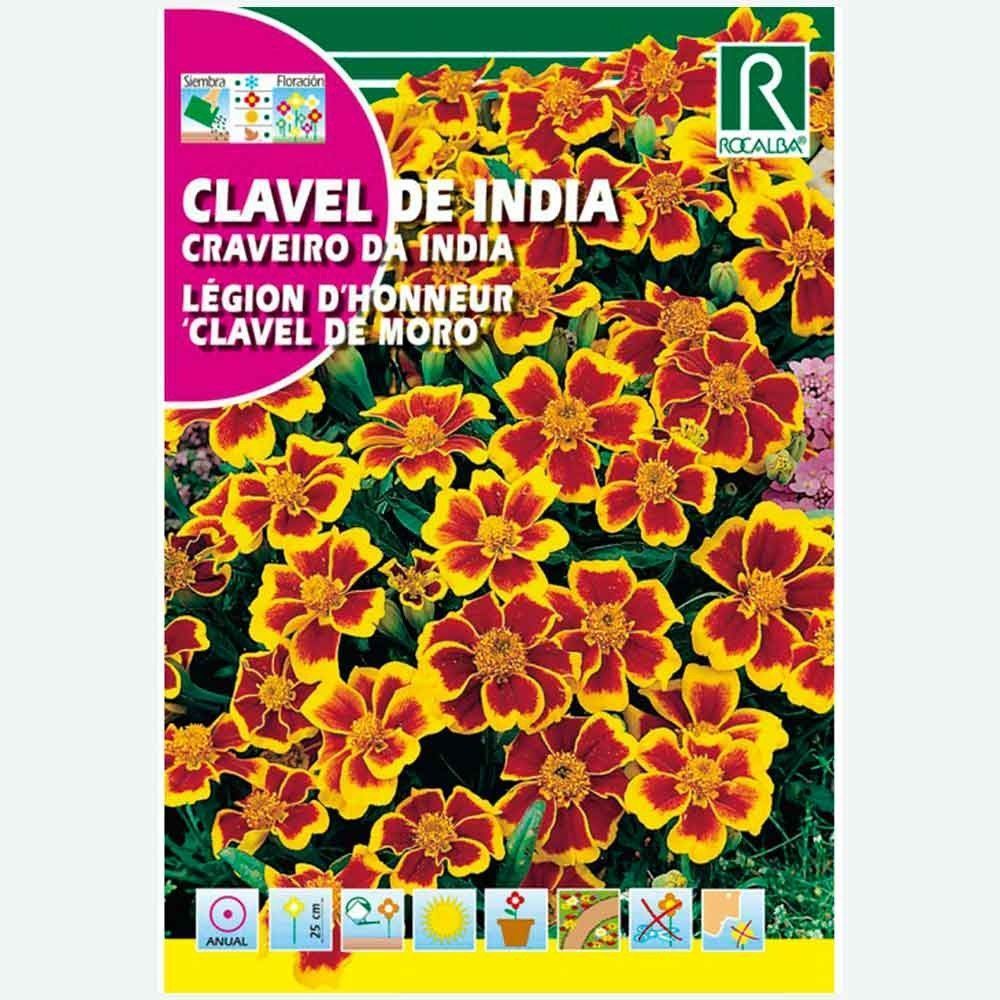 CLAVEL DE INDIA CLAVEL DE MORO SIMPLE ENANO - SOBRE DE SEMILLAS 4G ...