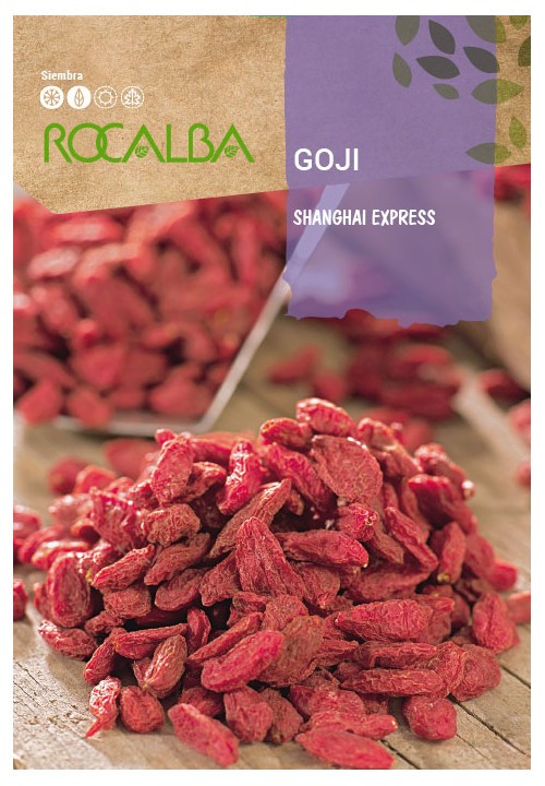 🍒 Goji Shanghai Express – Sobre 30 semillas. Fruto antioxidante ...