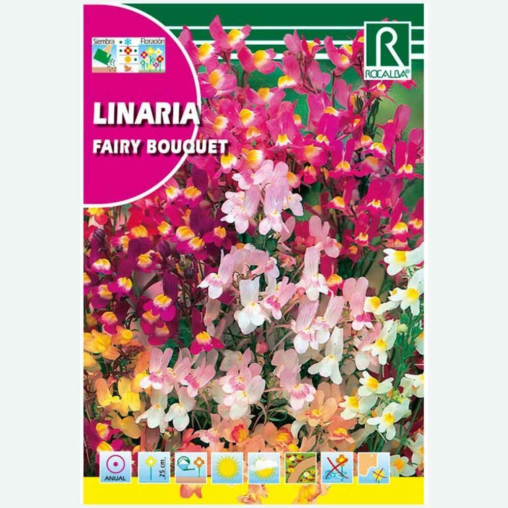 🌸 Linaria Fairy Bouquet – Semillas 2g de flor anual variada ...